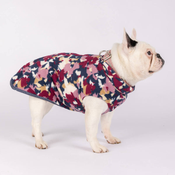 Snoot Style-Strut your stuff in our stylish & sustainable dog clothes