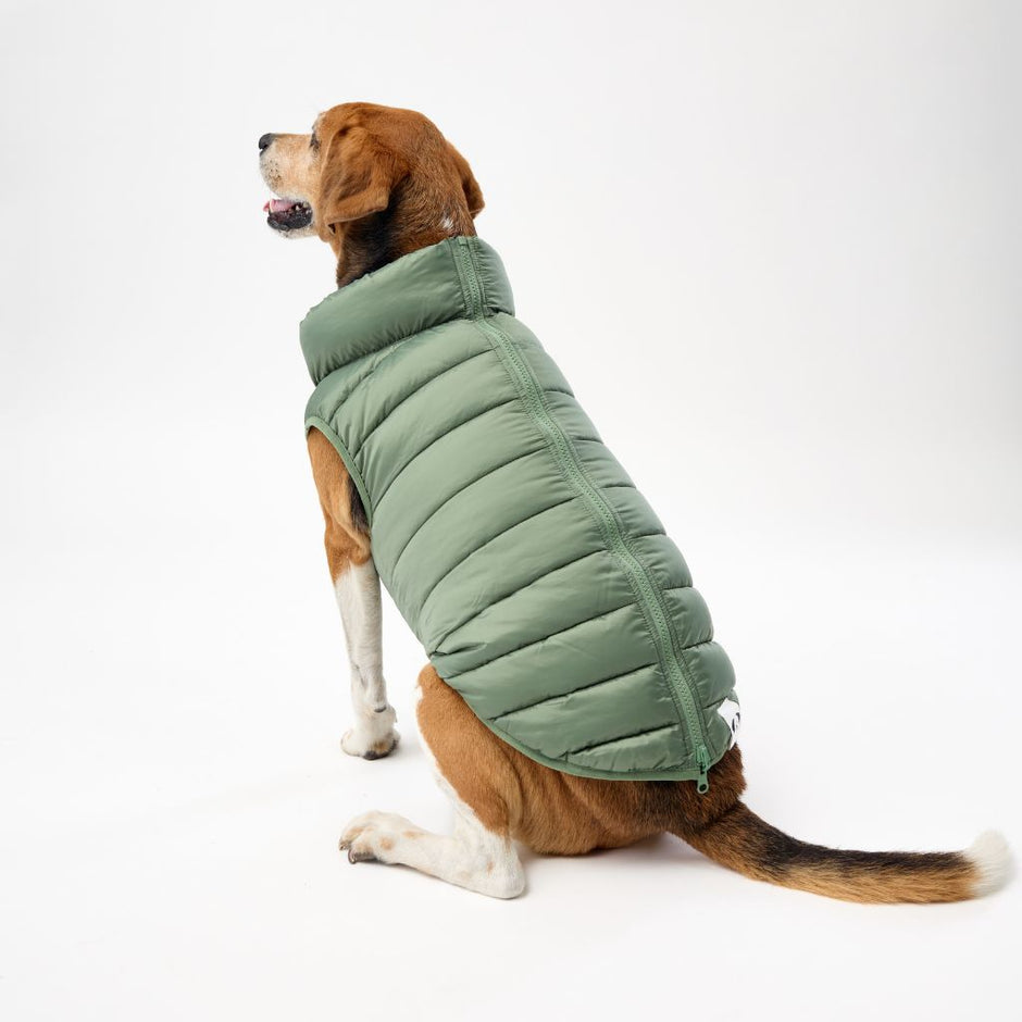 Dog Puffer Jacket - Reversible - Snoot Style