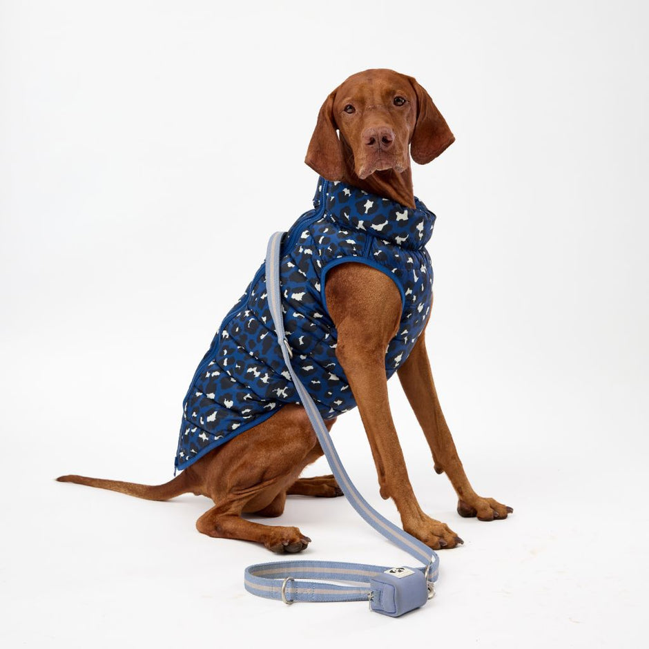 Dog Puffer Jacket - Winterproof Reversible Puffer Jacket - Snoot Style