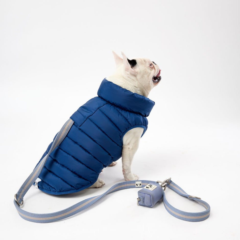Dog Puffer Jacket - Winterproof Reversible Puffer Jacket - Snoot Style