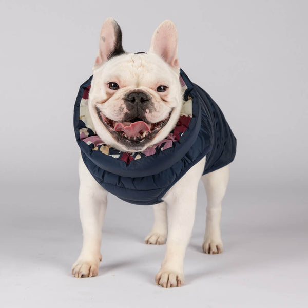 Dog Puffer Jacket - Reversible Print - Snoot Style