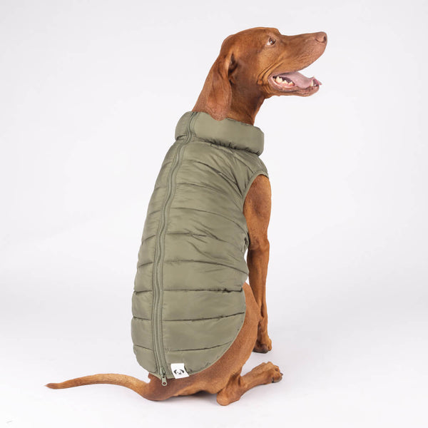 Snoot Style | New Arrivals of stylish and sustainable dog coats.