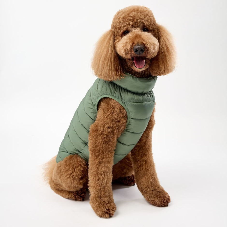 Dog Puffer Jacket | Reversible | Harness Hole | Back Zip | Snoot Style