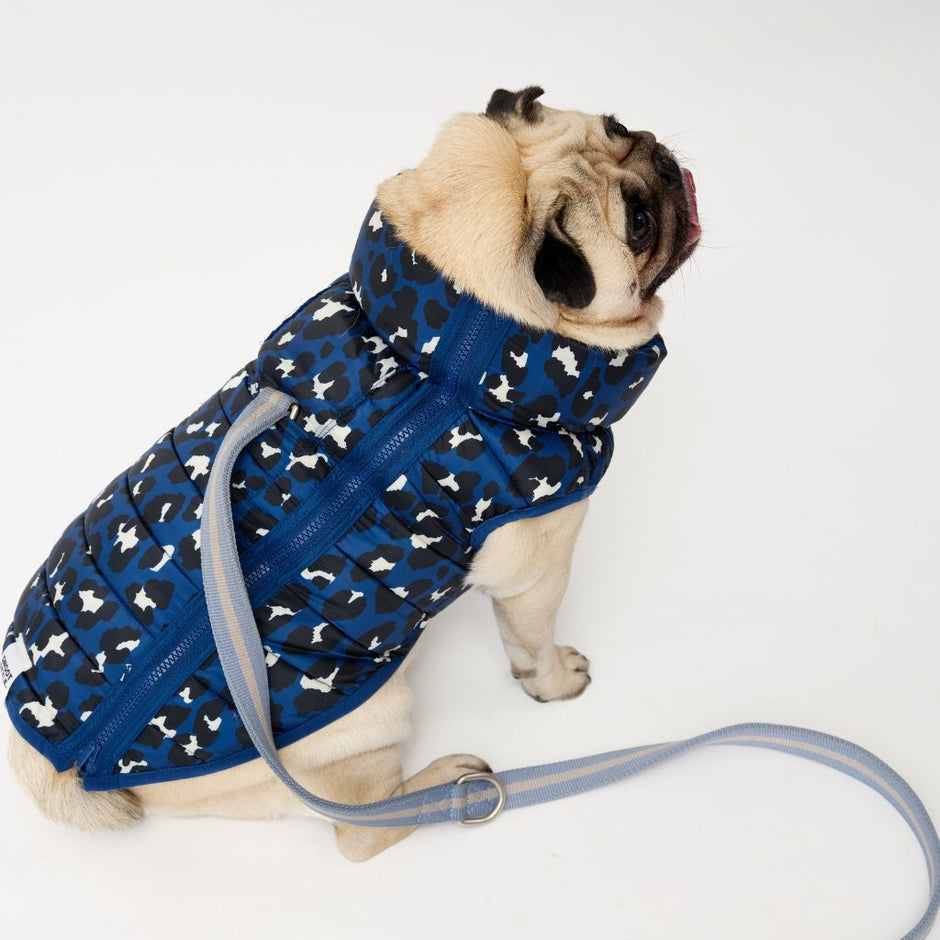 Dog Puffer Jacket - Winterproof Reversible Puffer Jacket - Snoot Style