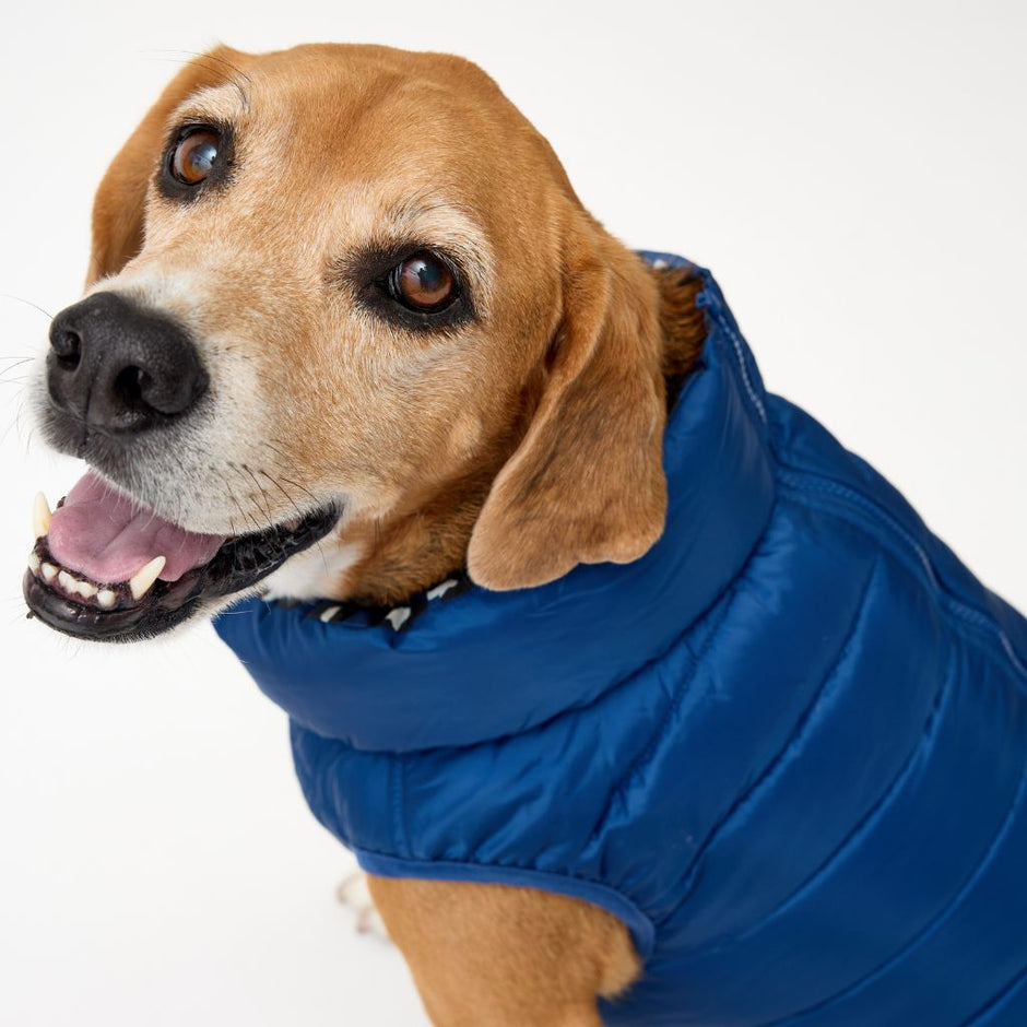 Dog Puffer Jacket - Winterproof Reversible Puffer Jacket - Snoot Style