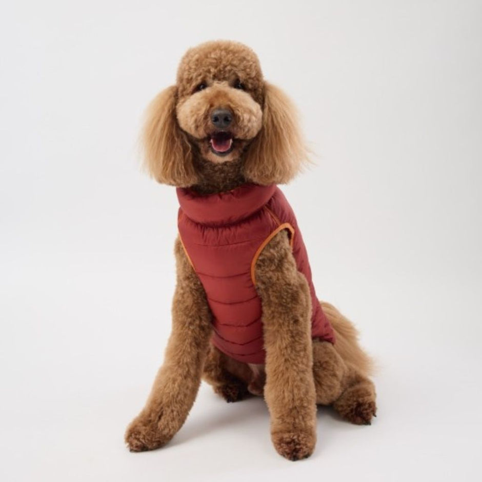 Dog Puffer Jacket | Harness Hole | Reversible| Snoot Style
