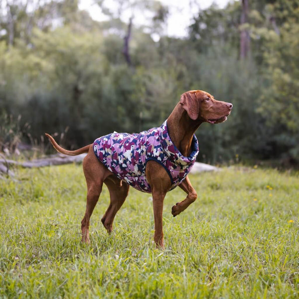 Dog Puffer Jacket - Reversible Print - Snoot Style