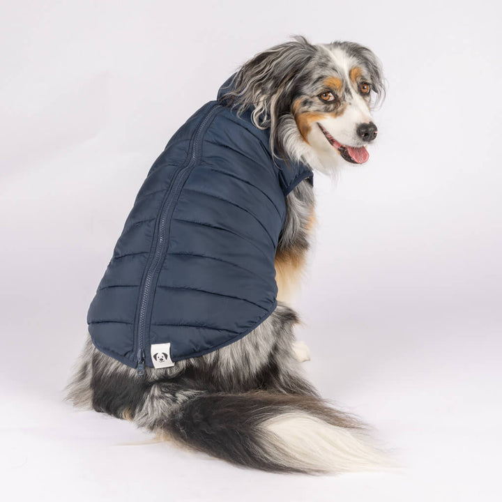 Dog Puffer Jacket - Reversible Print - Snoot Style