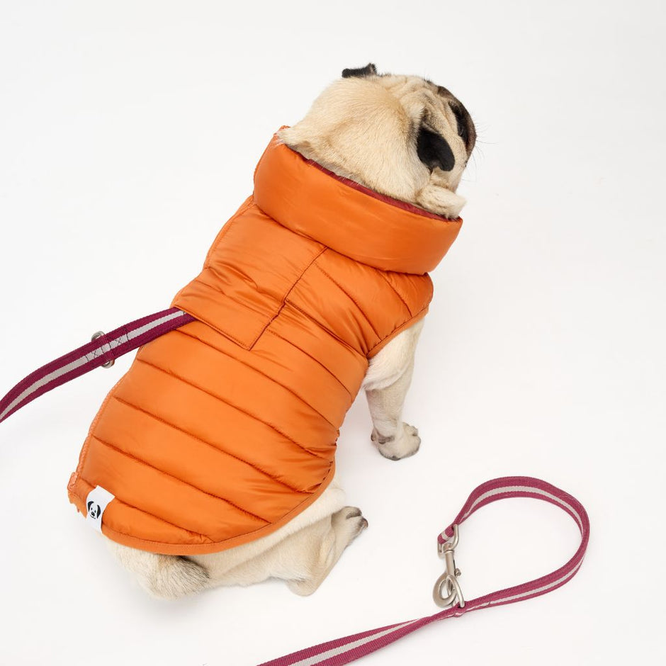 Dog Puffer Jacket | Harness Hole | Reversible| Snoot Style