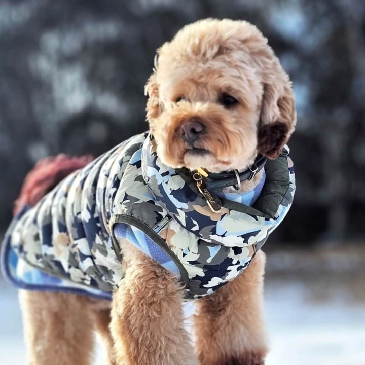 Dog Puffer Jacket - Reversible - Snoot Style