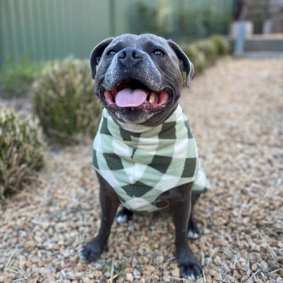 Fleece Dog Coat | Back Zip Style | Green Gingham | Snoot Style