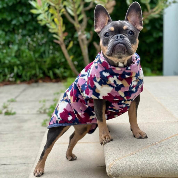 Snoot Style-Strut your stuff in our stylish & sustainable dog clothes