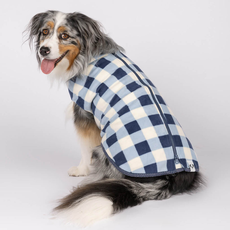 Snoot Style-Strut your stuff in our stylish & sustainable dog clothes