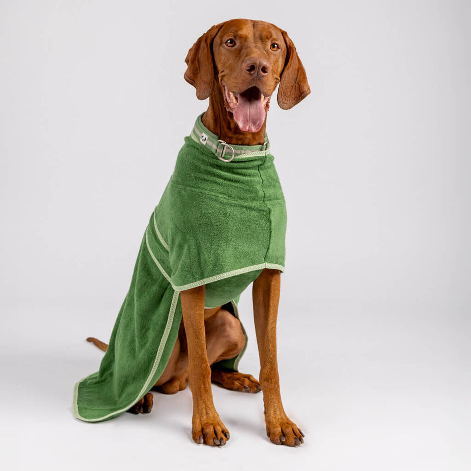 The Splish Splash Dog Drying Coat | Elm Green - Snoot Style