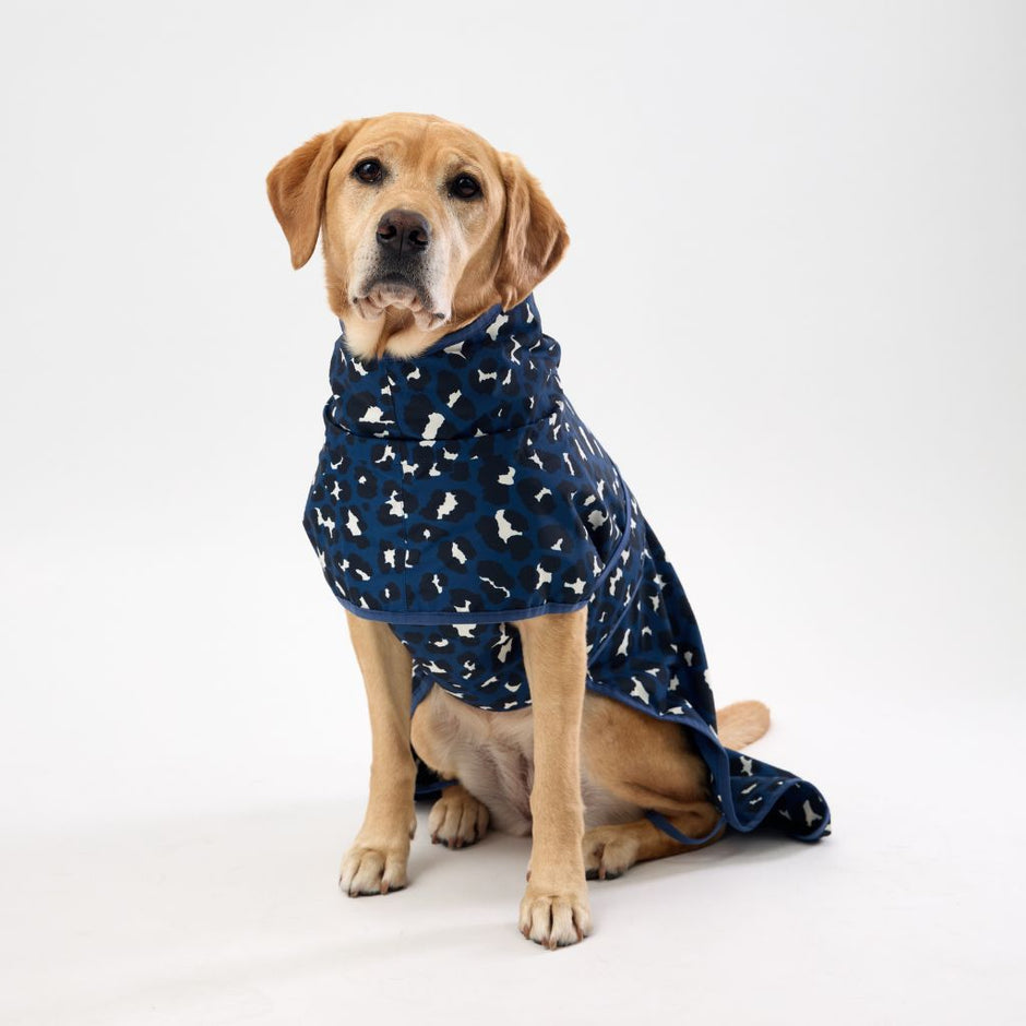 New and Trendy Fashion Collection for Dogs - Snoot Style